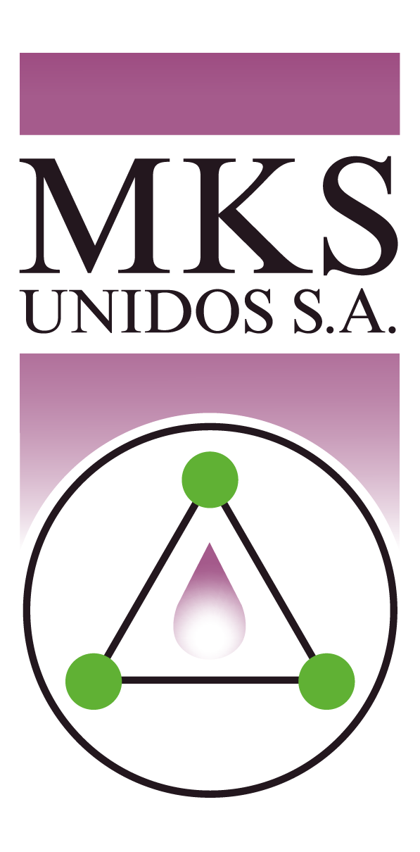 Inicio - MKS UNIDOS S.A.
